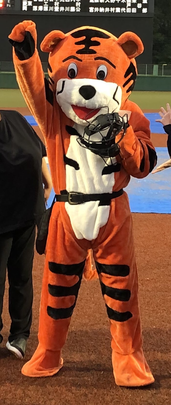 日本野球連盟公式サイト | 【東海地区：トピックス】第72回JABA伊勢・松阪大会 会場風景②